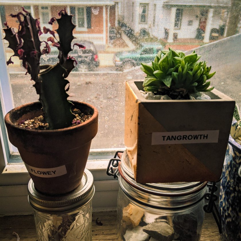 Blog Post 221 – Magic Seen a Second Time – New World Witchery – The ...