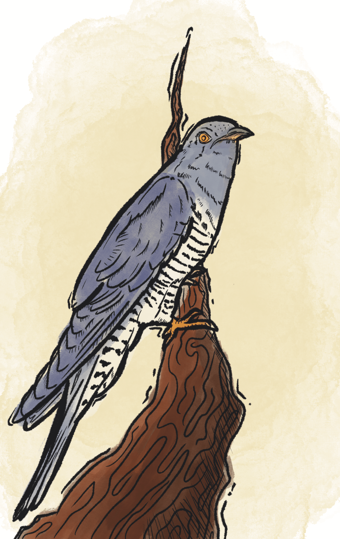 Blog – New World Witchery – The Search for American Traditional Witchcraft